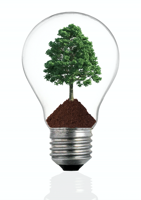 Our Best Marketing Ideas for Tree Service Companies