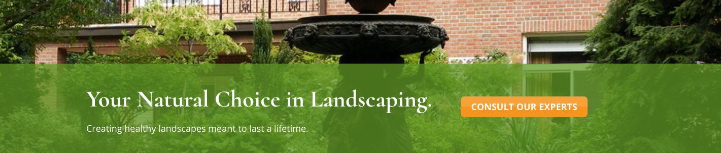 12 Essential Ideas to Implement on Your Landscaping Website's Homepage